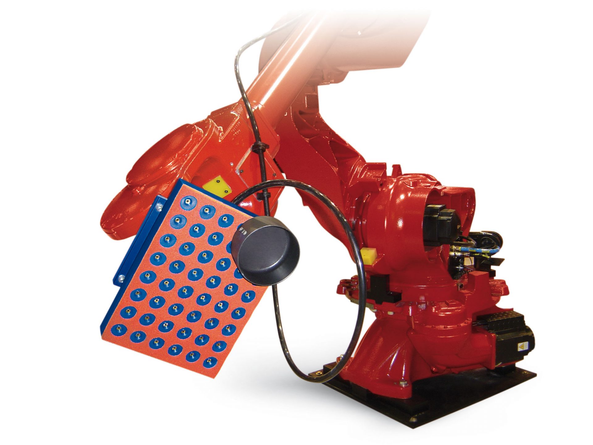 Pallet creation: Octopus vincit omnia - Vacuumdaily.net